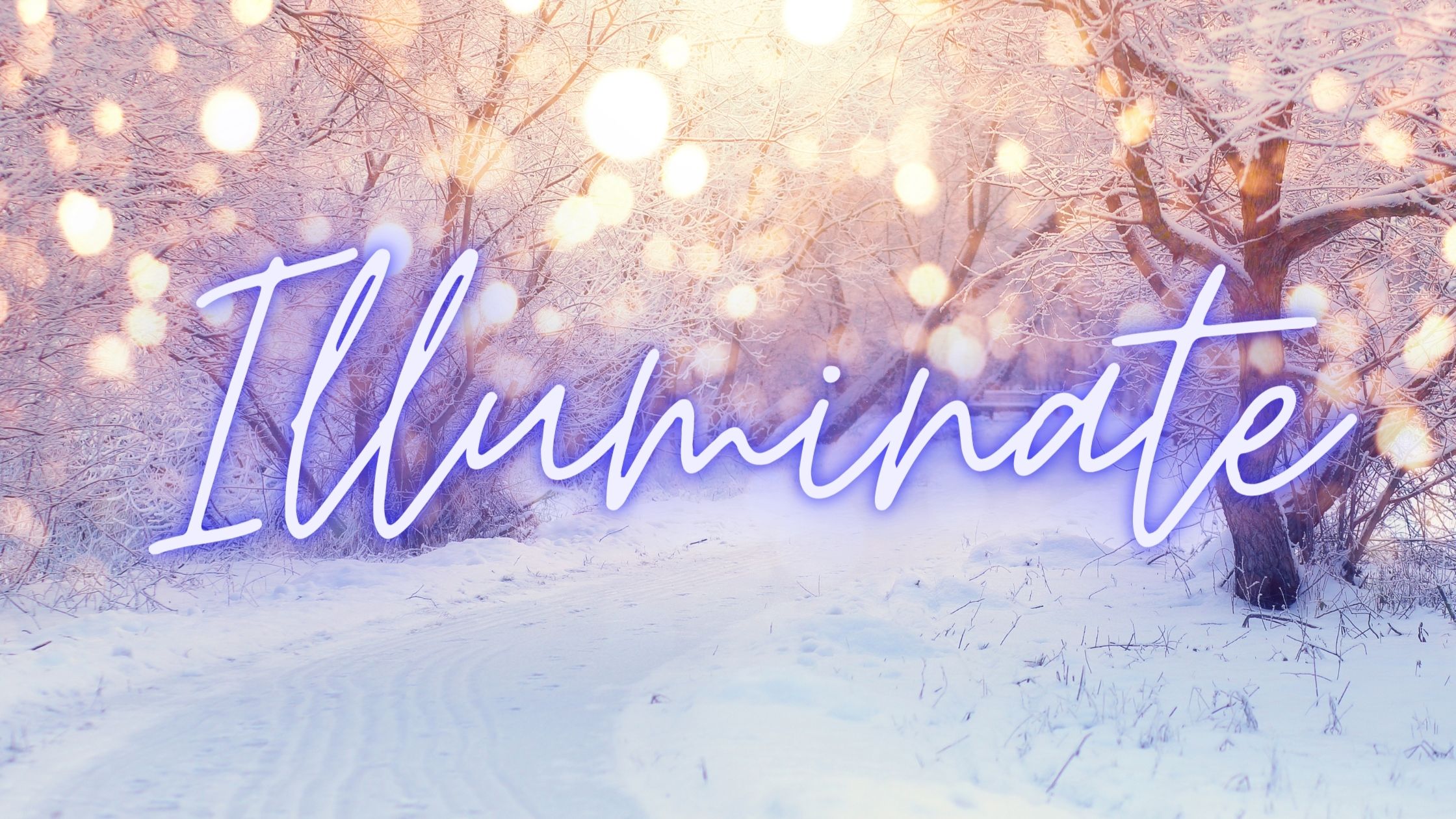 2021 Word of the Year: Illuminate - The Ingredient Guru, Mira Dessy